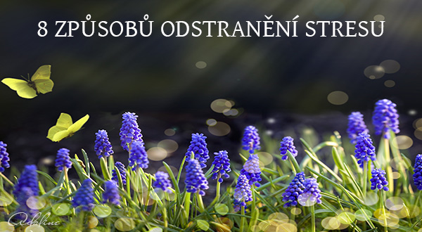 8 způsobů odstranění stresu | Adaline.cz